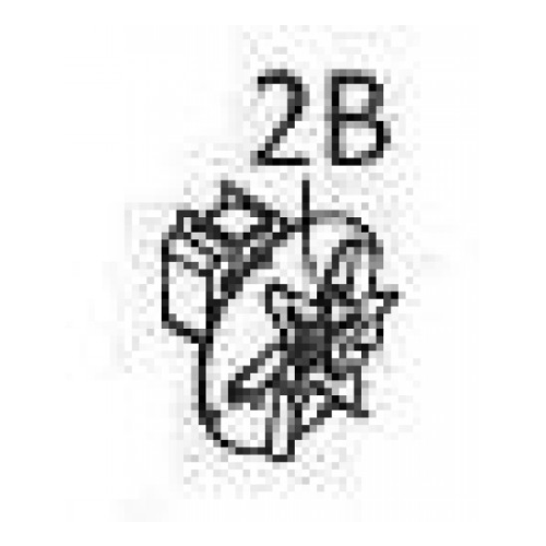 2B. Motor do extractor - Cat Biomassa